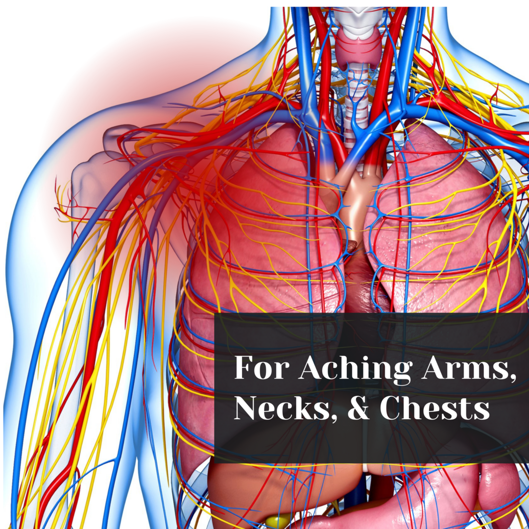 TOS Managing Program by Julie Ann